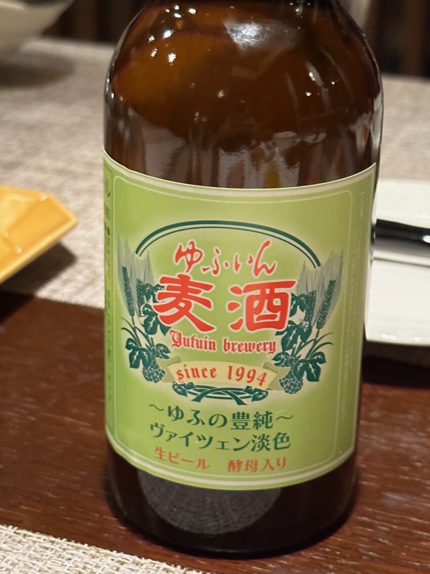 Things to Know Before Visiting Japan - Japan Documented