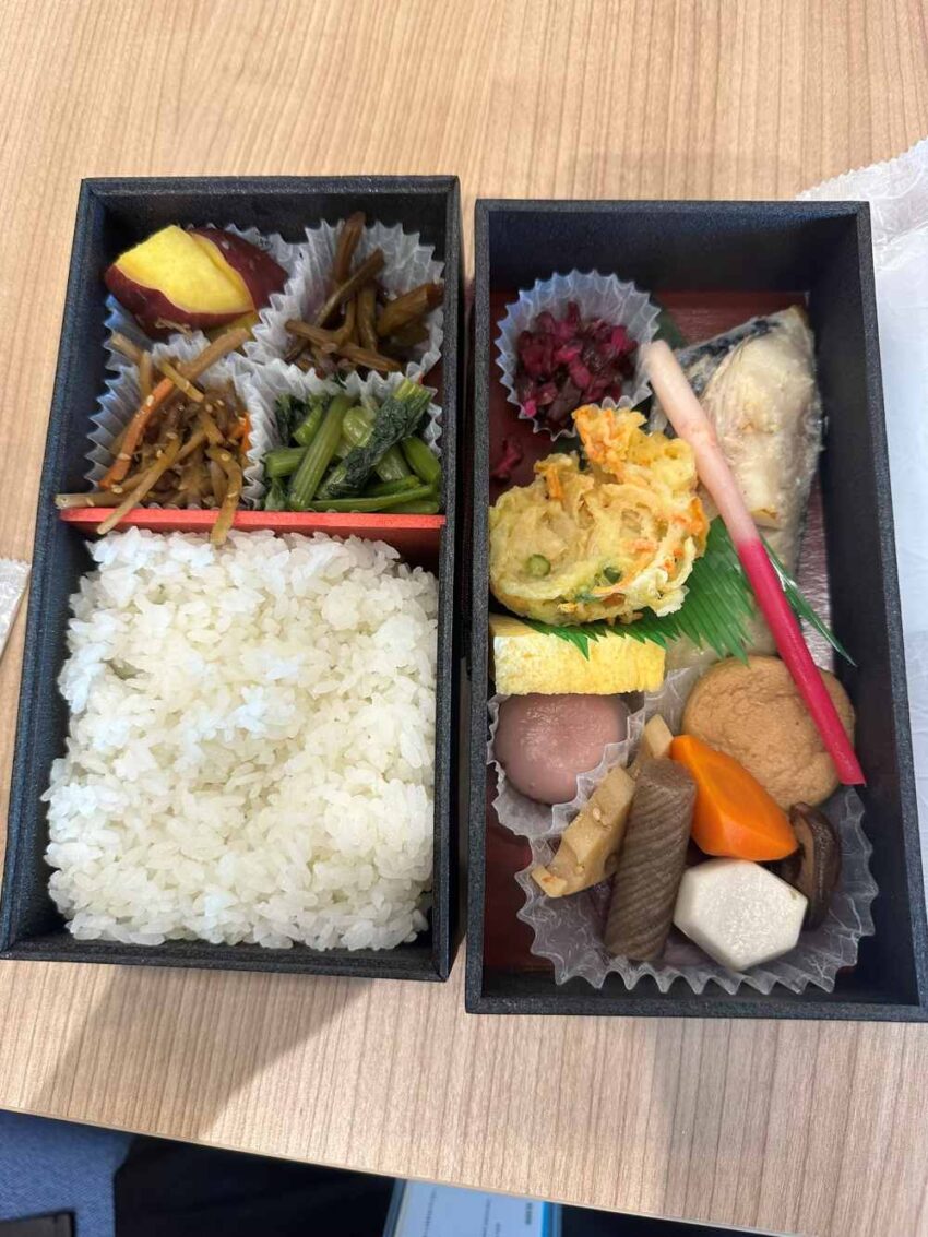 Japanese Bento 101: The 5 Types Of Bento Boxes – QIZR