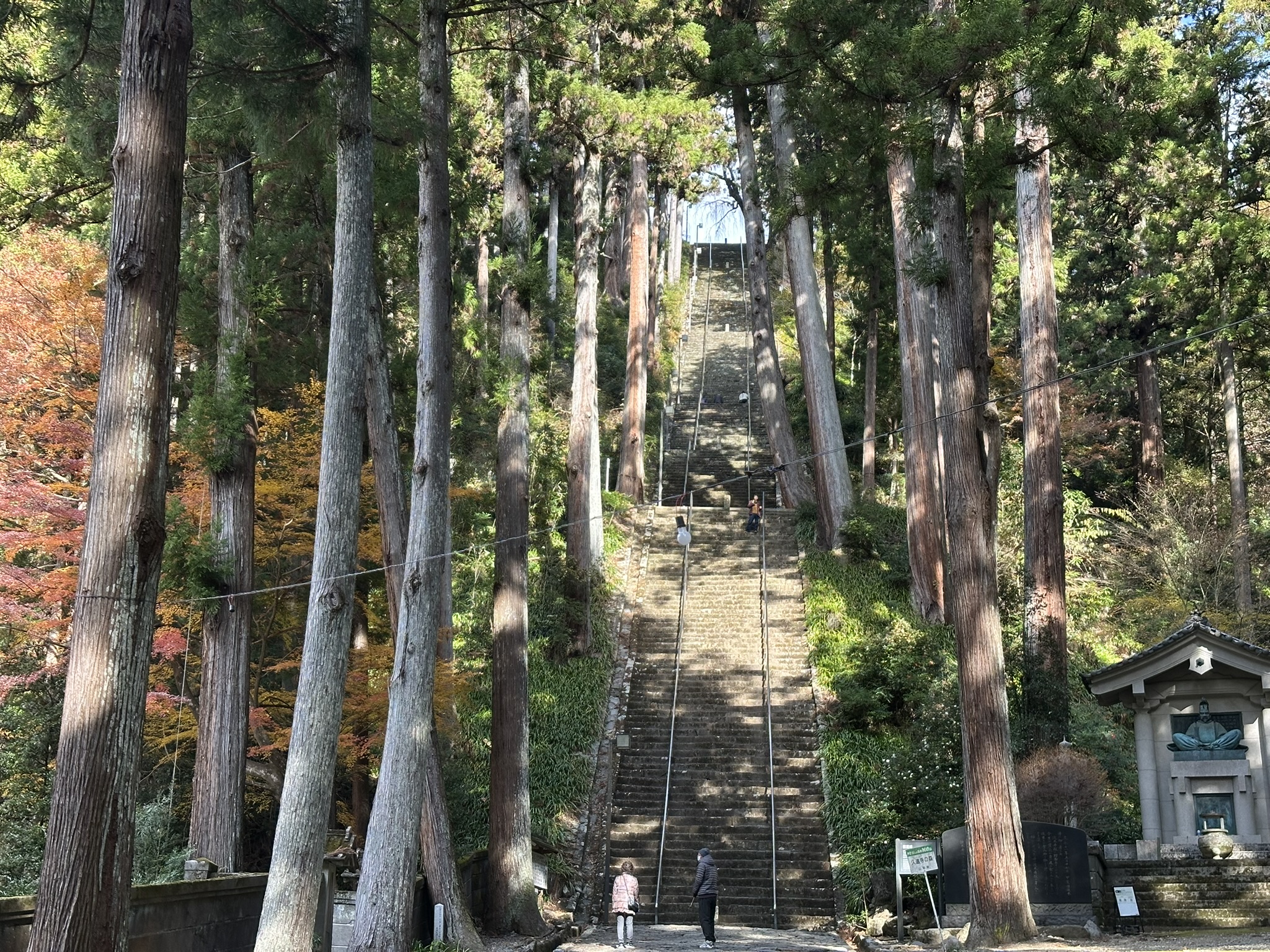 Temple Stay Experience: Why Mt. Minobu Kuonji BEATS Koyasan