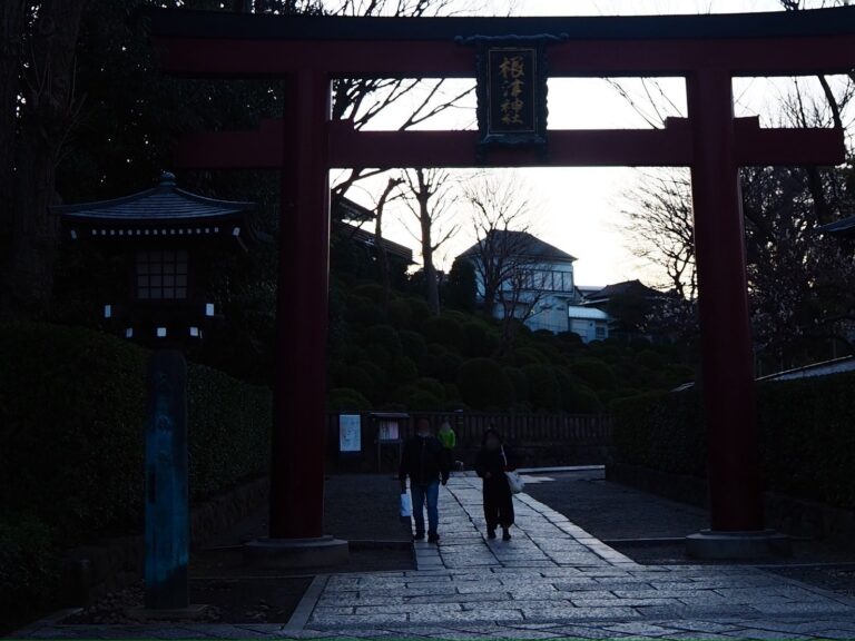 Nezu Shrine: Tokyo’s Hidden Gem with Azaleas & Torii Gates