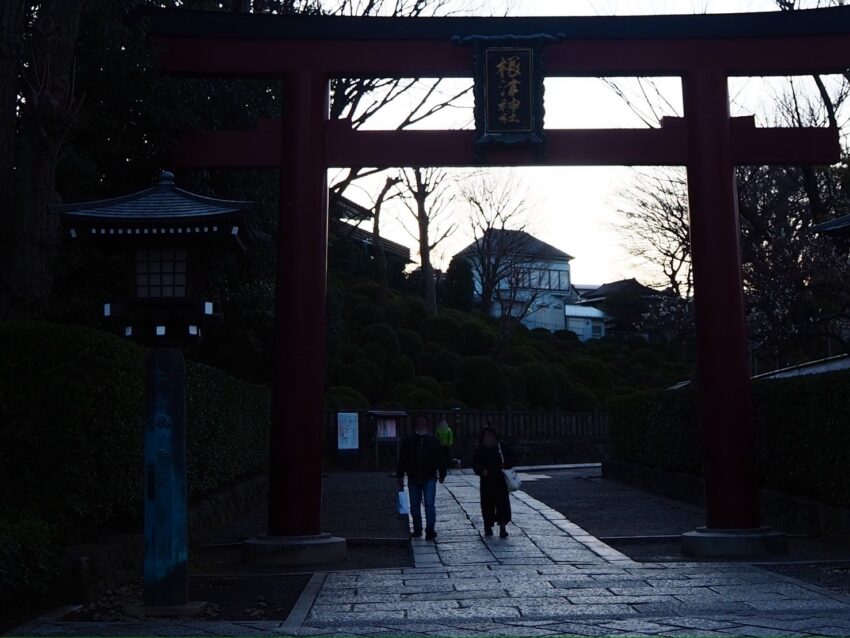 Nezu Shrine: Tokyo’s Hidden Gem with Azaleas & Torii Gates