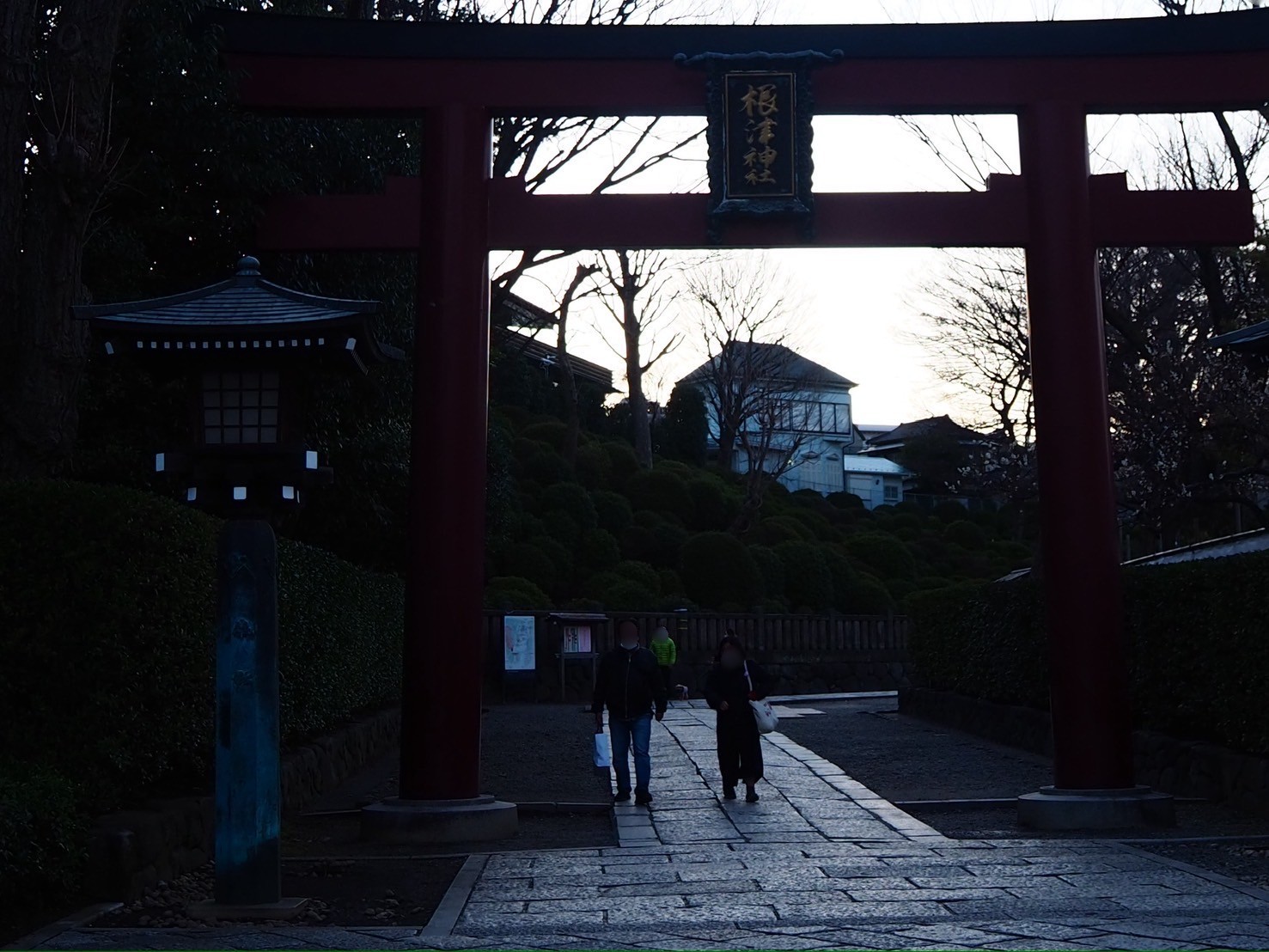 Nezu Shrine: Tokyo’s Hidden Gem with Azaleas & Torii Gates